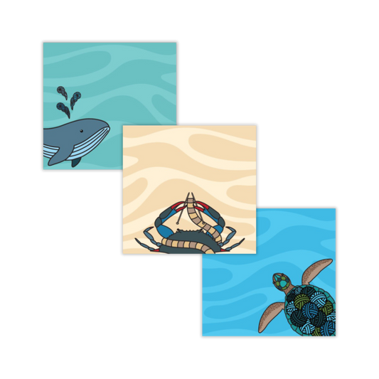 WHAT'S NEW – Camp Stitchwood